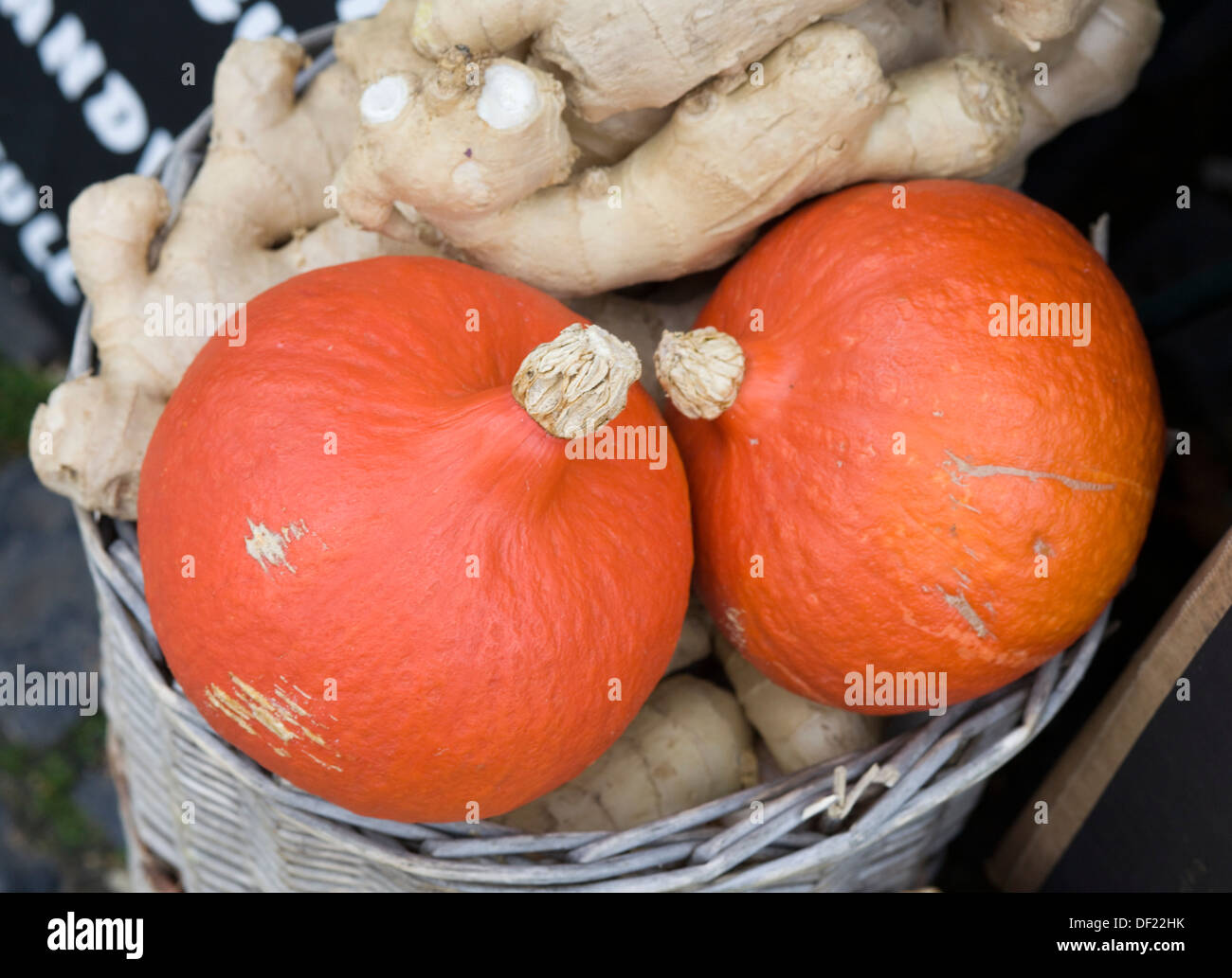 Stem displays hi-res stock photography and images - Alamy