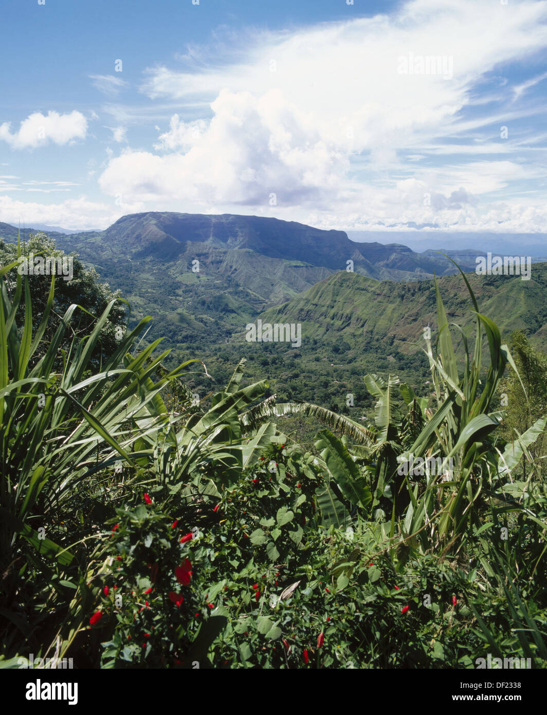 Cauca valley hi-res stock photography and images - Alamy