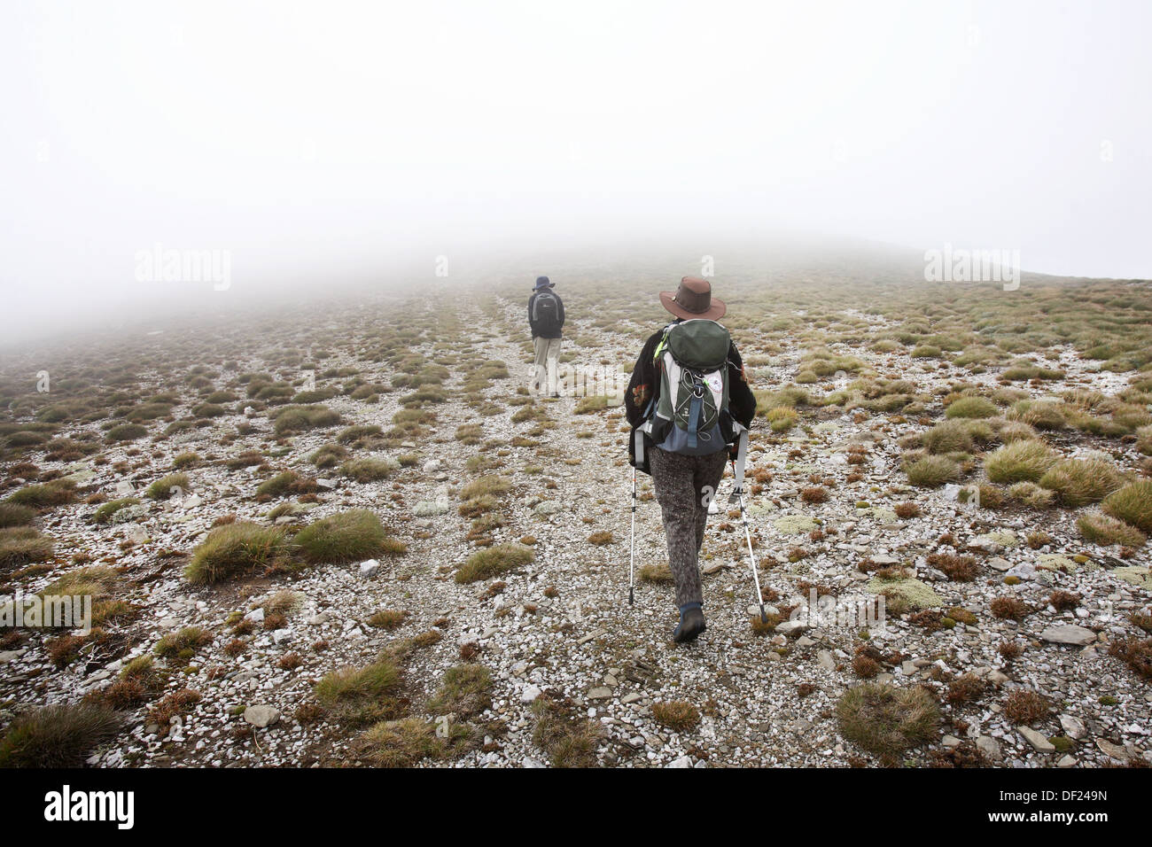 Bushwalkers hi-res stock photography and images - Alamy