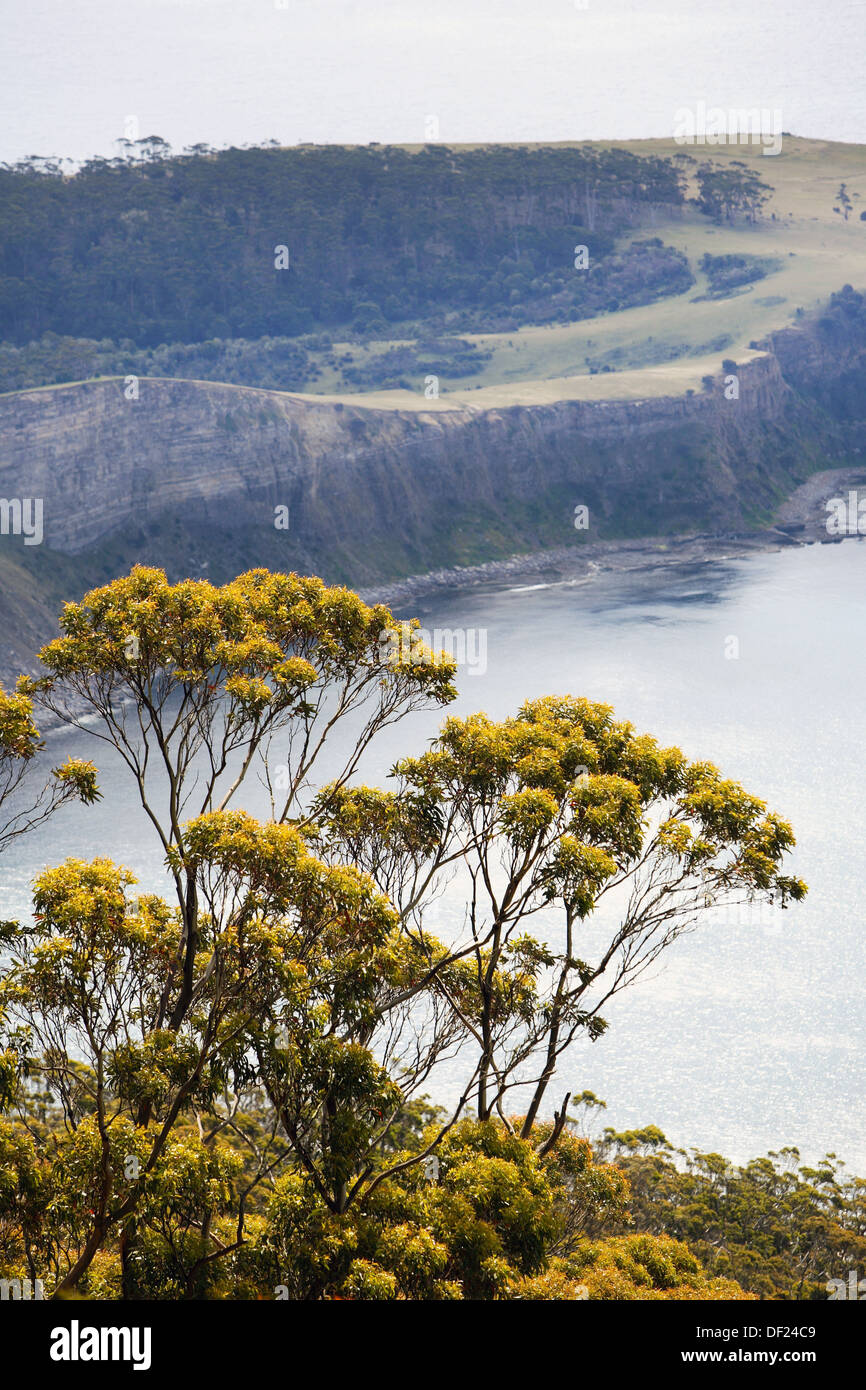 View over Maria Island, Tasmania, Australia Stock Photo - Alamy