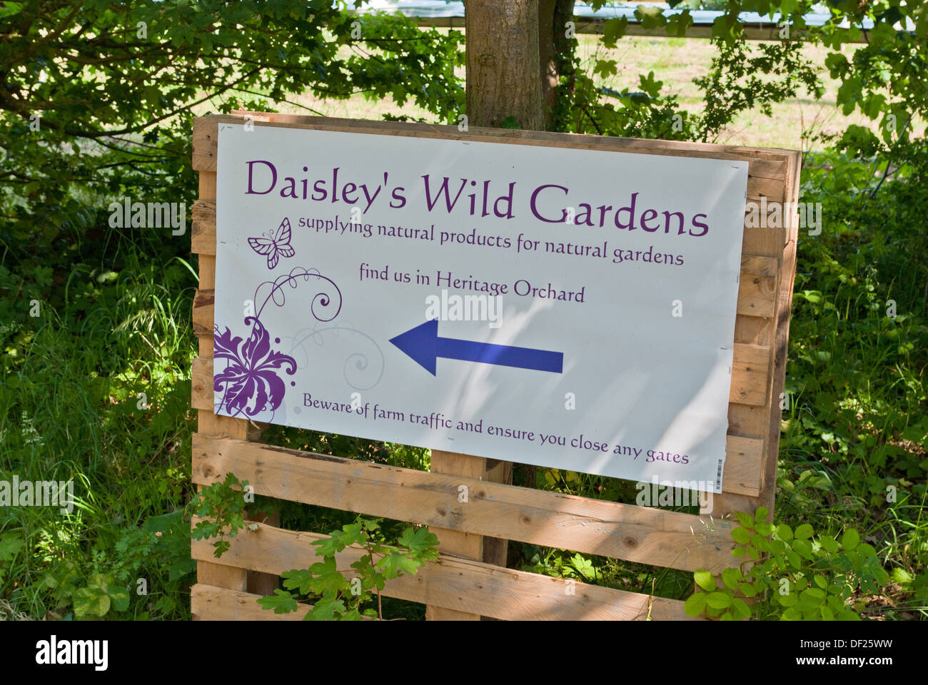 Sign for Daisley's Wild Gardens, part of the Drove Orchards complex in ...