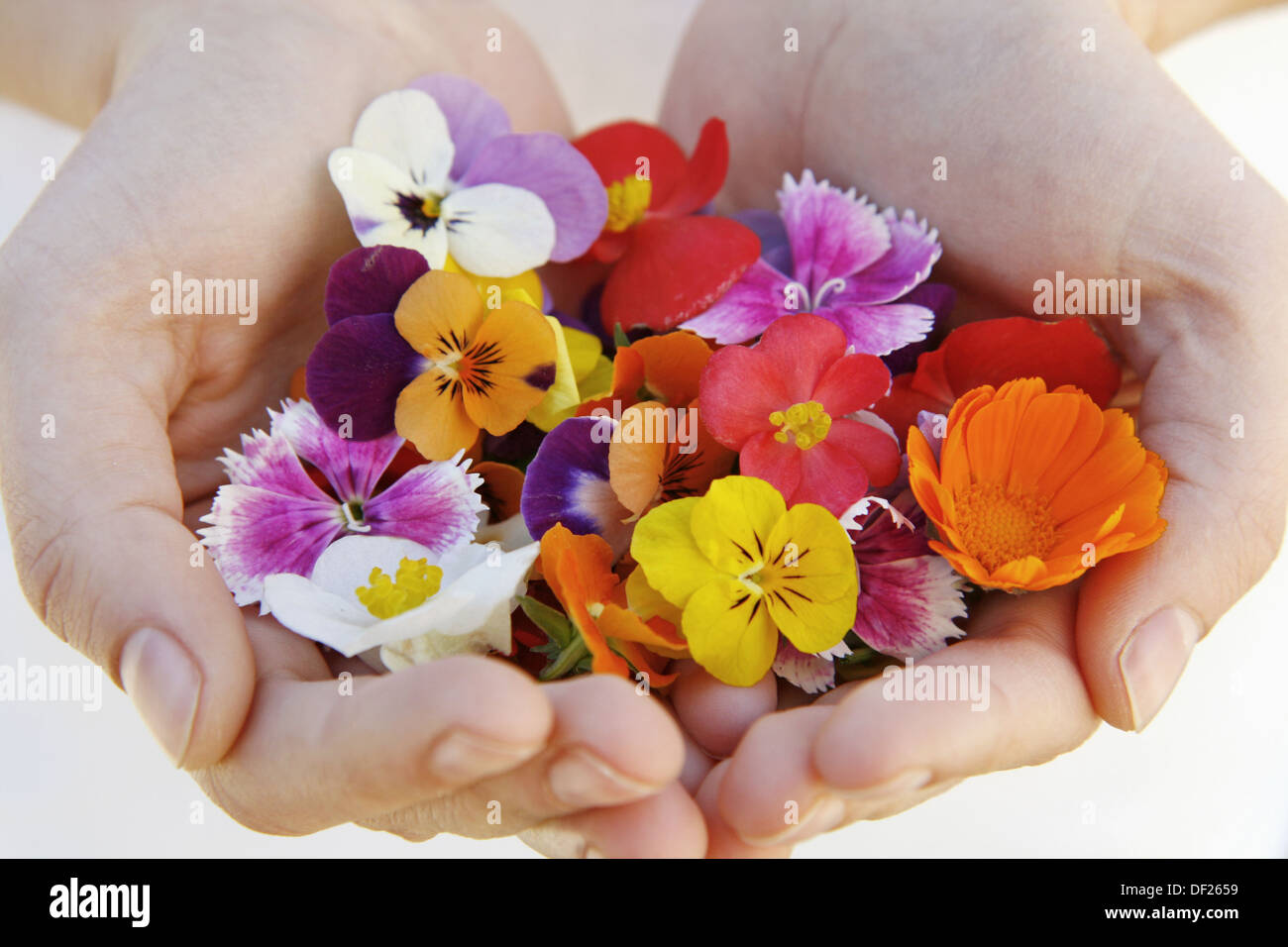 Assortment of edible flowers hi-res stock photography and images - Alamy