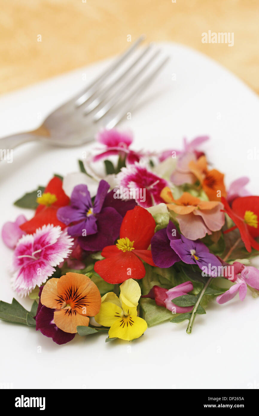 Edible carnation flowers hi-res stock photography and images - Alamy
