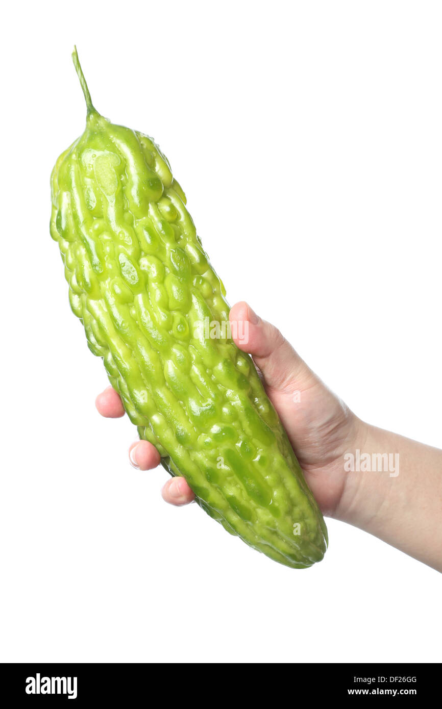 Hand holding a bitter melon Stock Photo - Alamy