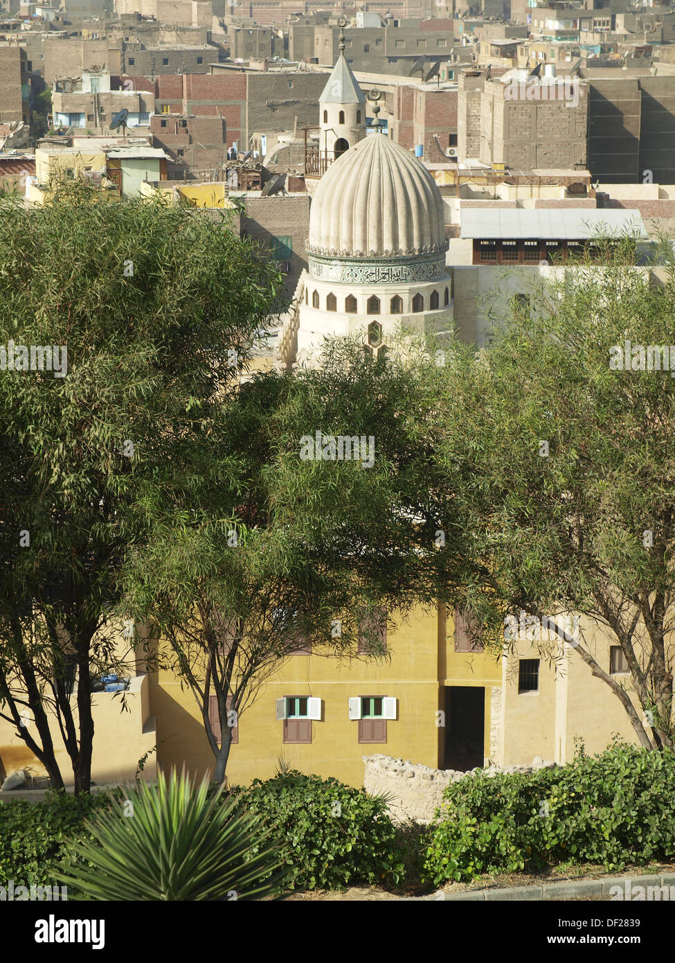 Fatimi hi-res stock photography and images - Alamy