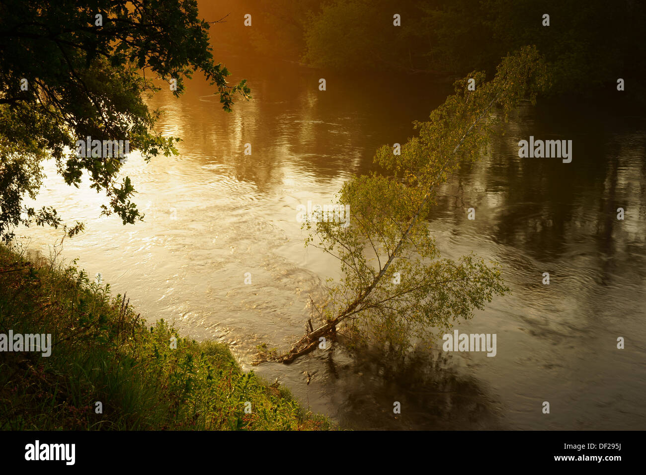 The Bug river in Podlaskie Province, north eastern Poland Stock Photo ...
