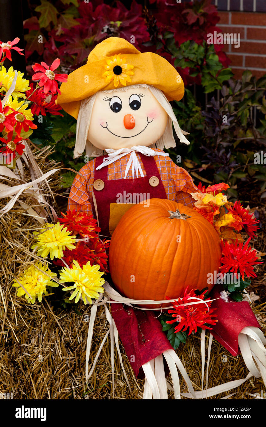 Autumn Display Scarecrow Pumpkins