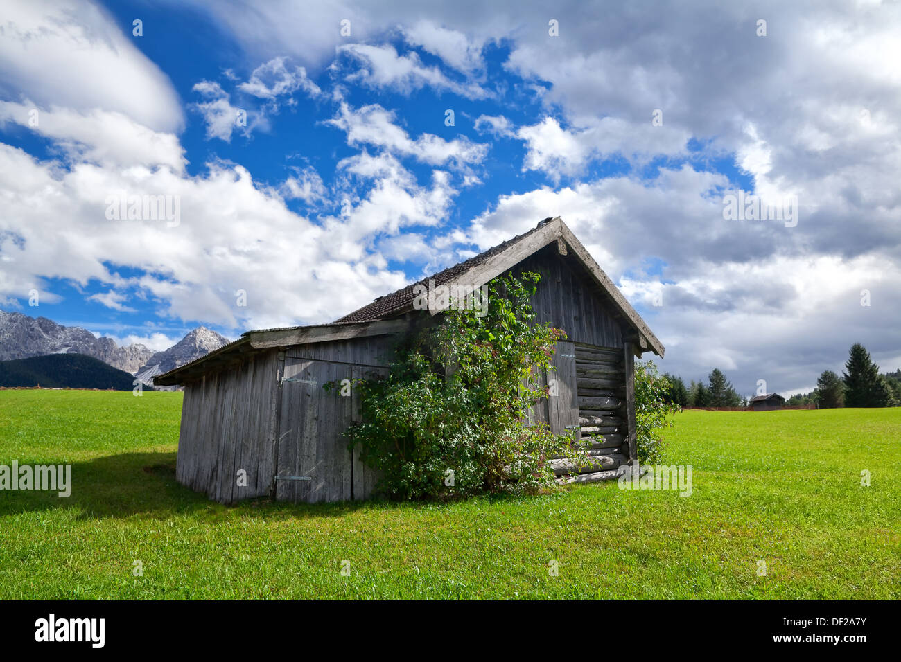 On the alpine meadows hi-res stock photography and images - Alamy