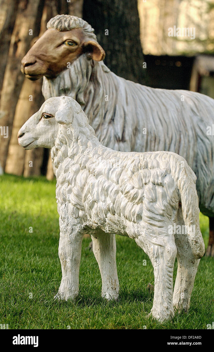 Nativity Sheep High Resolution Stock Photography and Images - Alamy