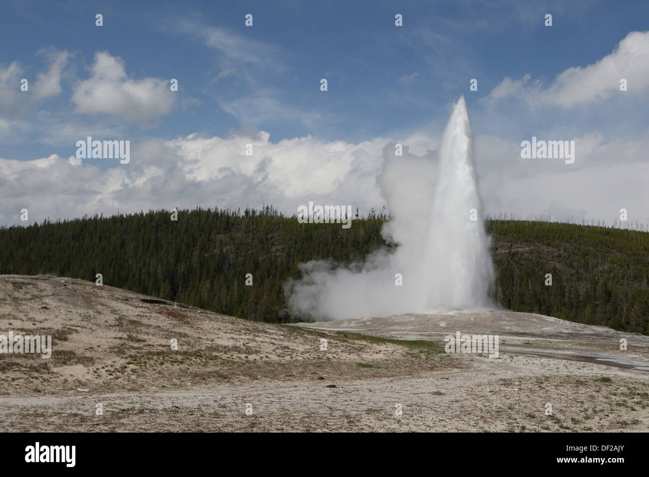 Grand Teton and Yellowstone National Park Stock Photo - Alamy