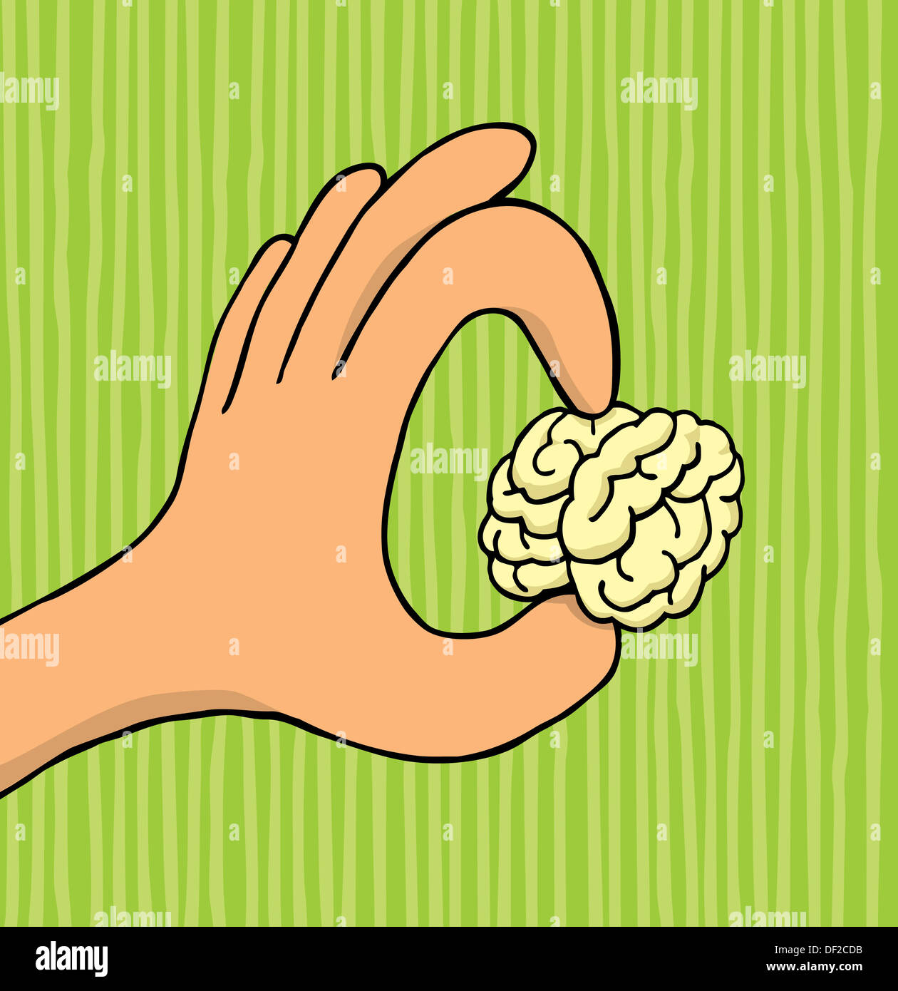 Hand holding tiny brain Stock Photo - Alamy Hand holding tiny brain Stock Photo - Alamy