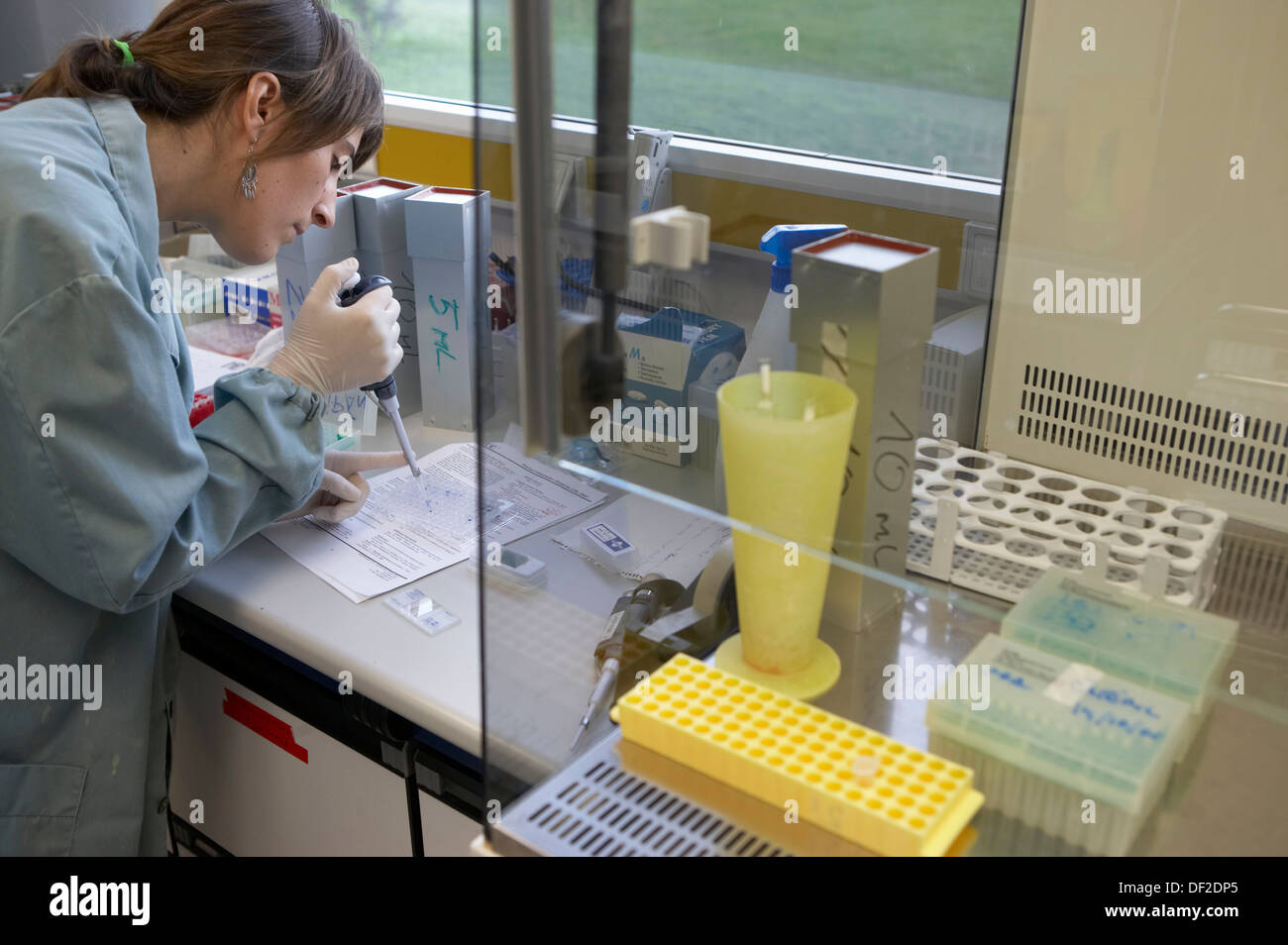 Stem cells samples hi-res stock photography and images - Alamy