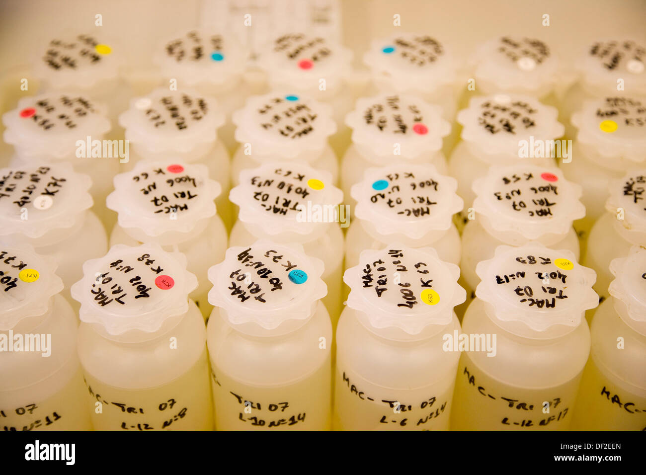 Marine food research technological hi-res stock photography and images ...