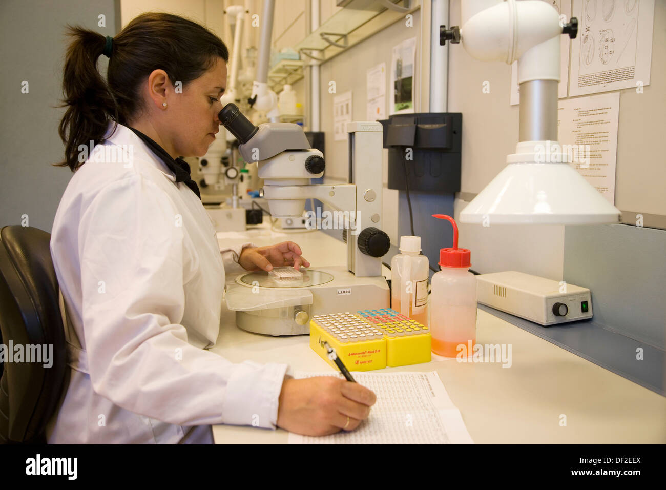 Plankton microscope hi-res stock photography and images - Alamy