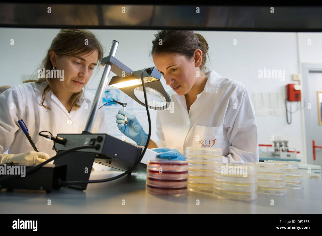 Microbiology laboratory microbiological tests food hi-res stock ...