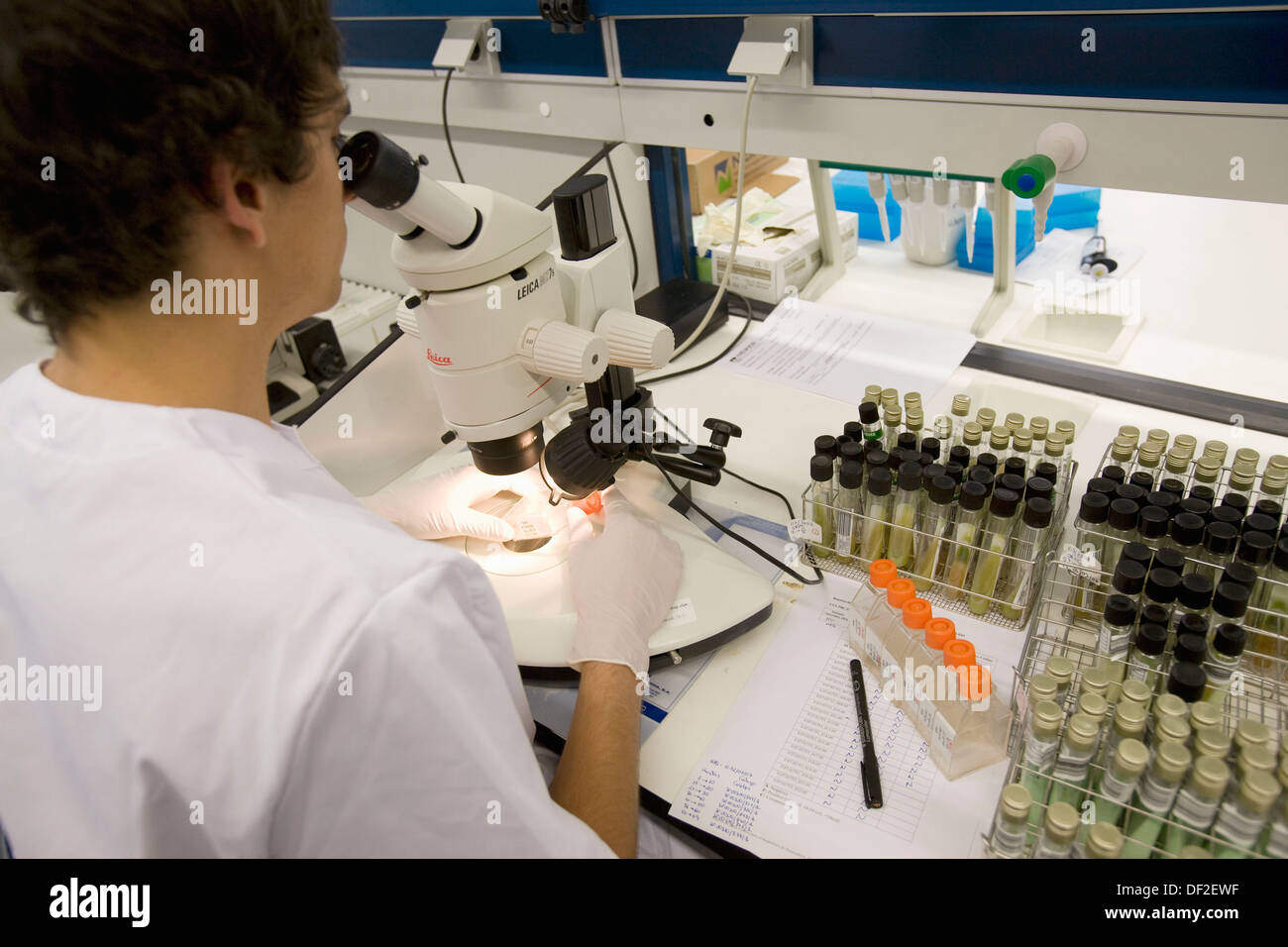 Laboratory bacteria human hi-res stock photography and images - Alamy