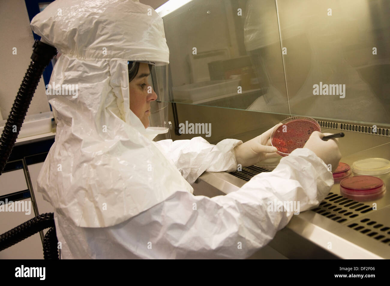 Microbiology culture hi-res stock photography and images - Alamy