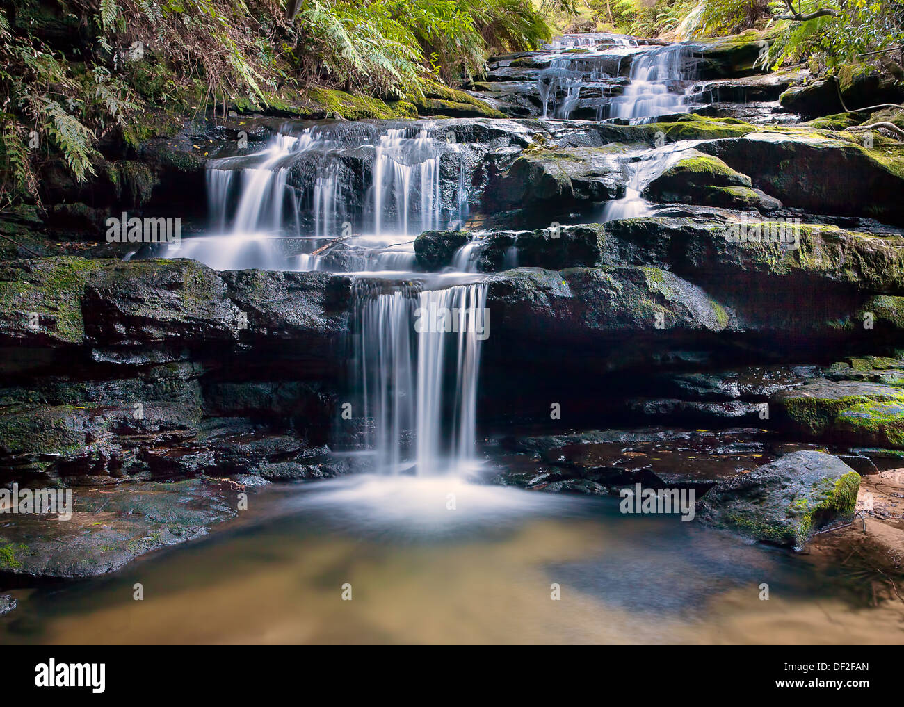 The cascades at Leura, NSW flowing into a pool Stock Photo - Alamy