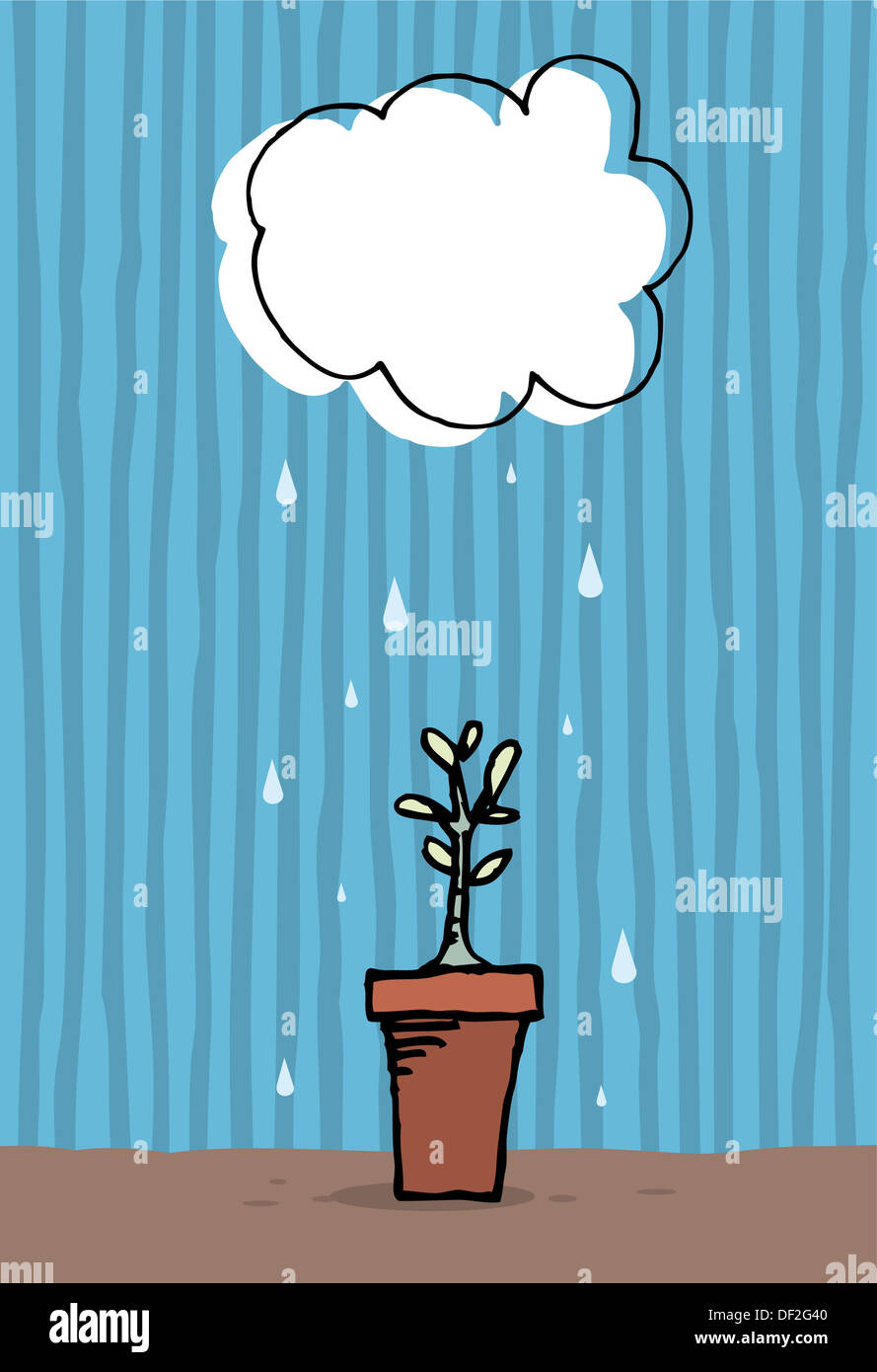 Plant growing in the rain / Growth Stock Photo - Alamy