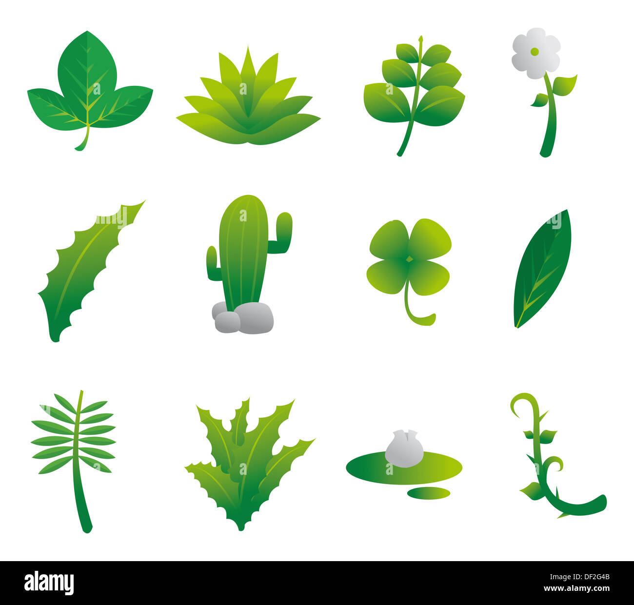 Plants Nature Set Stock Photo - Alamy