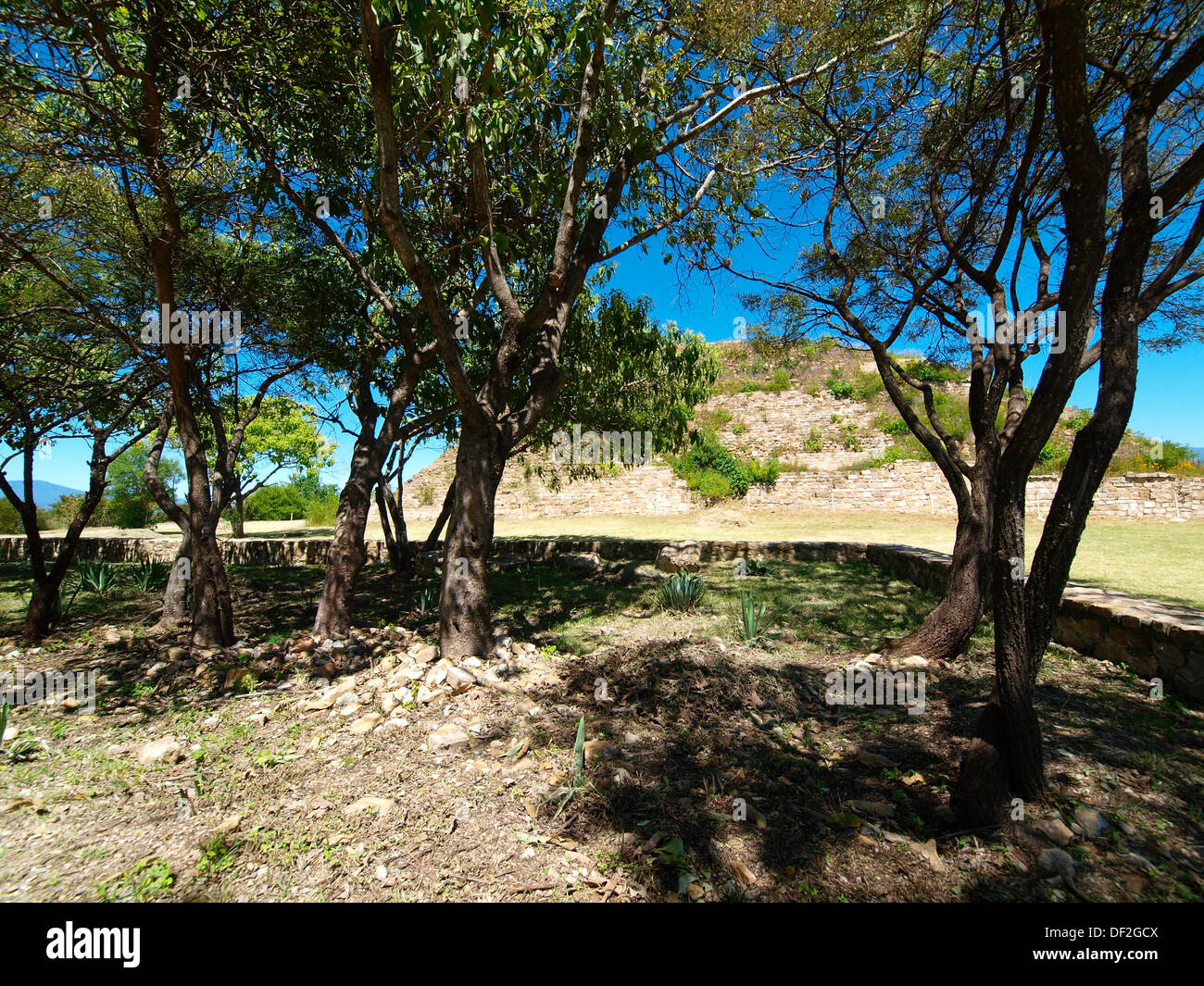 Ruins of Monte Albán. Zapotec archeological site. Oaxaca. Mexico Stock ...