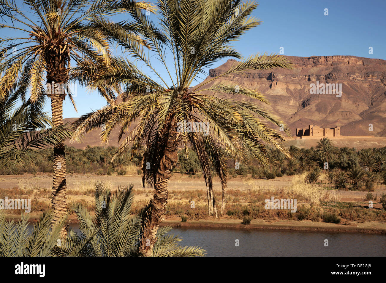 Oued draa hi-res stock photography and images - Alamy