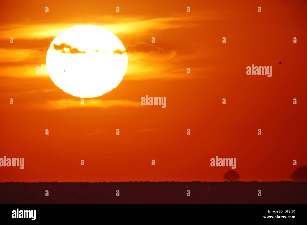 Bright big sun on the sky with clouds Stock Photo - Alamy