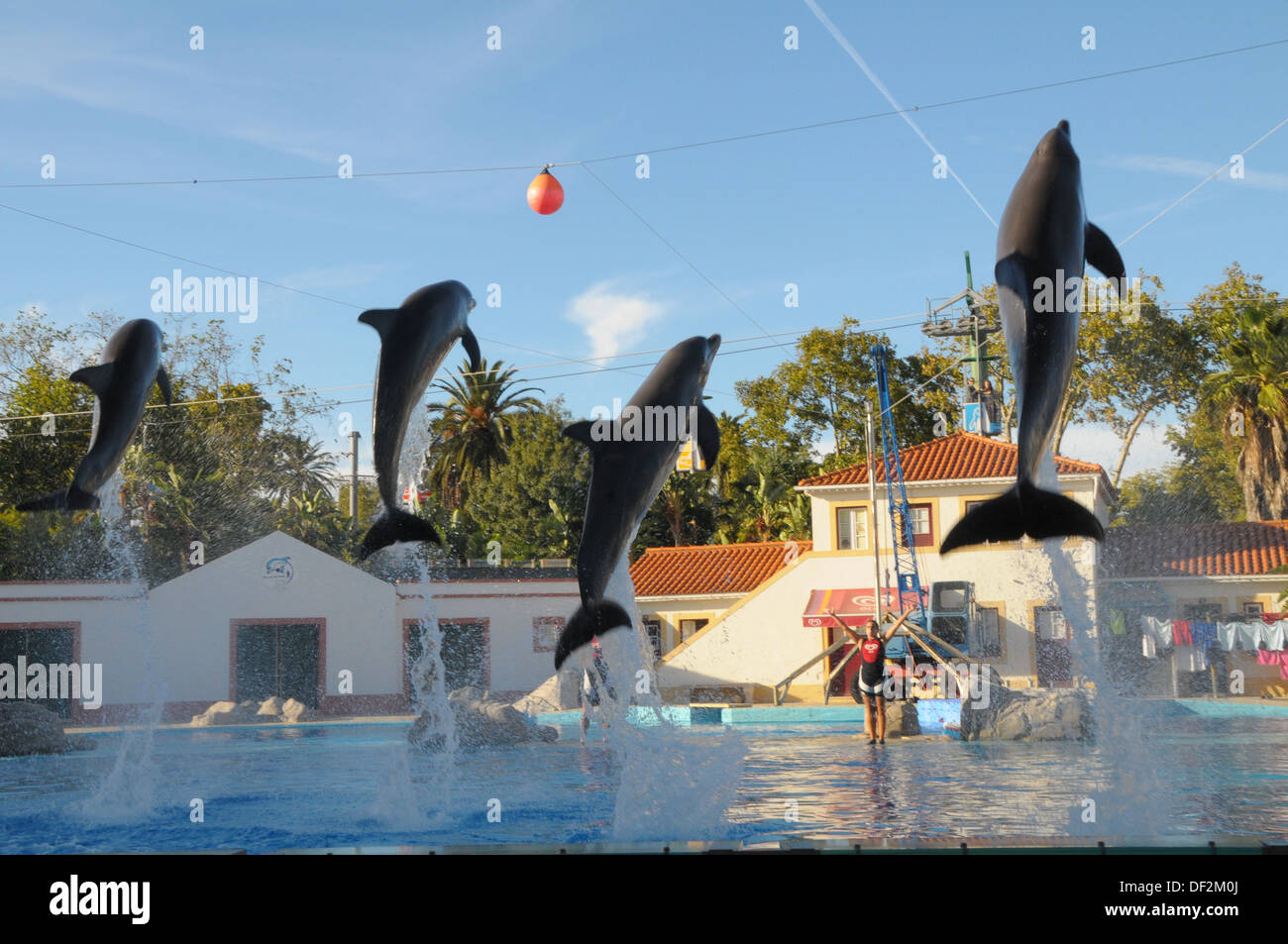 Lisbon zoo PORTUGAL Stock Photo - Alamy