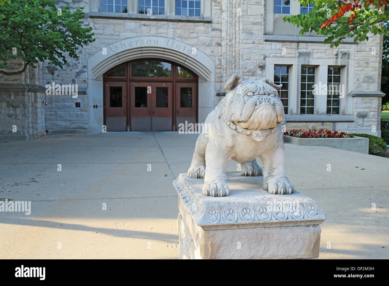 Bulldog statue hi-res stock photography and images - Alamy