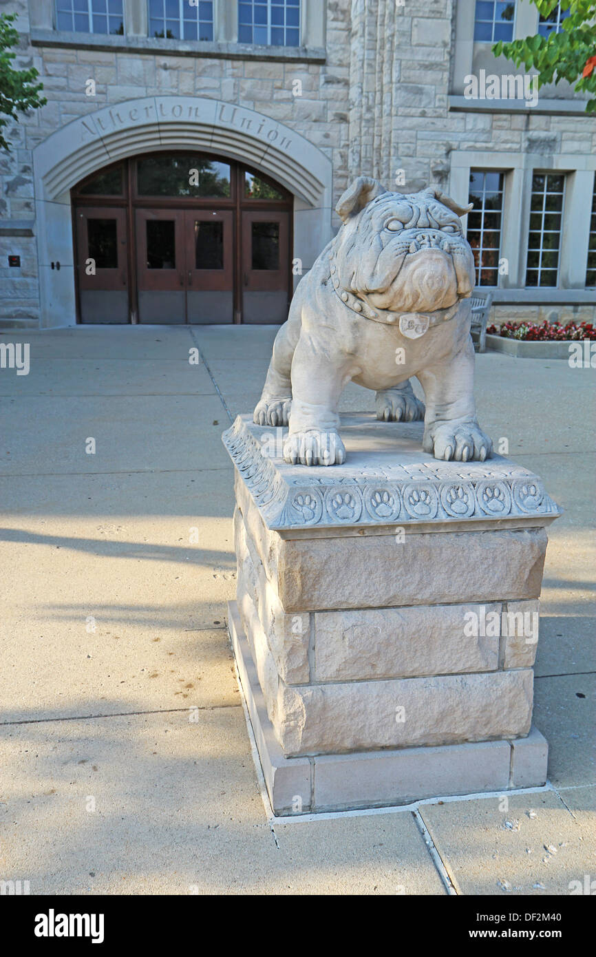 Bulldog Statue High Resolution Stock Photography and Images - Alamy