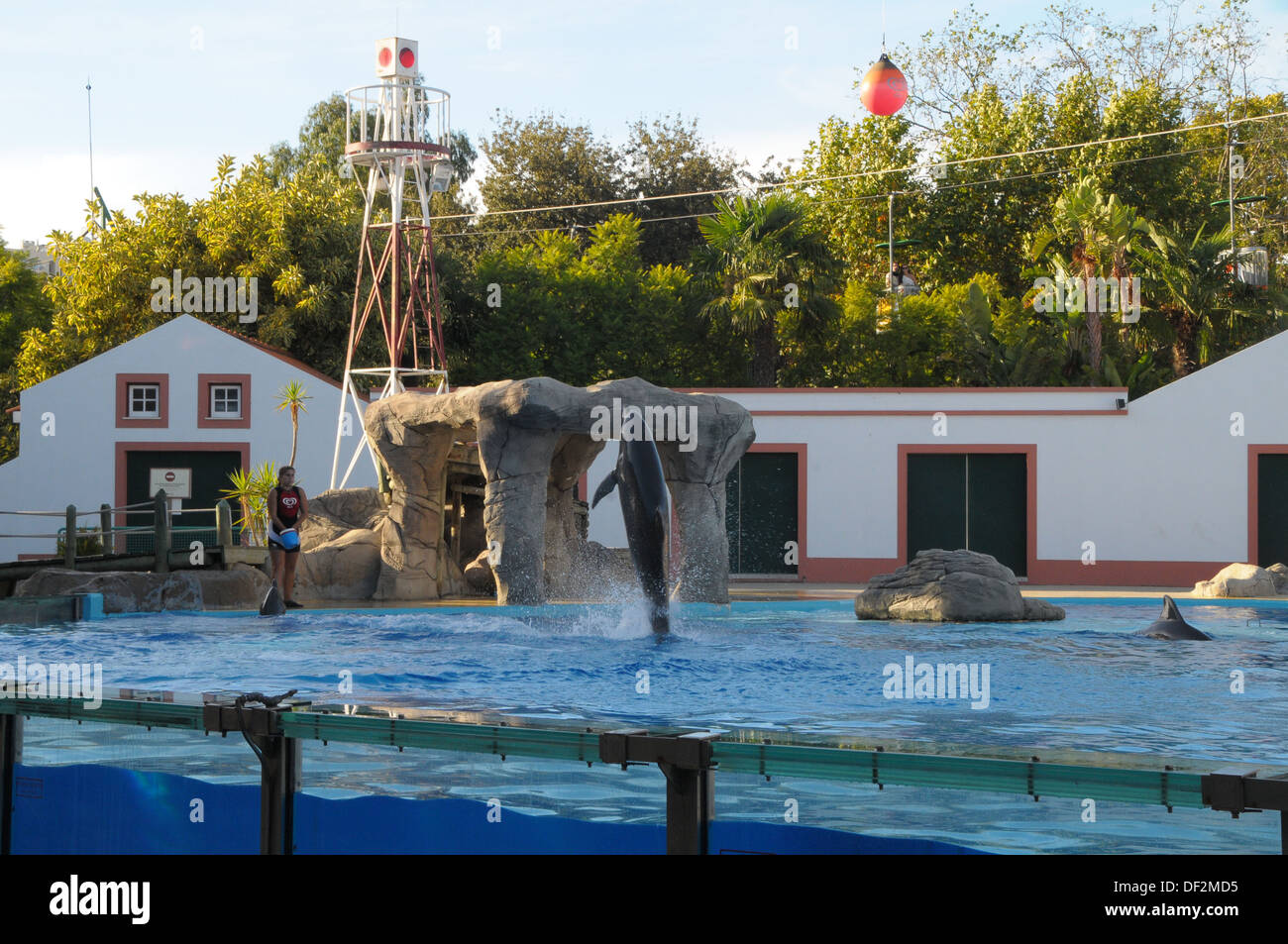 Lisbon zoo PORTUGAL Stock Photo - Alamy