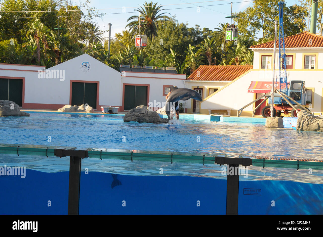 Lisbon zoo PORTUGAL Stock Photo - Alamy