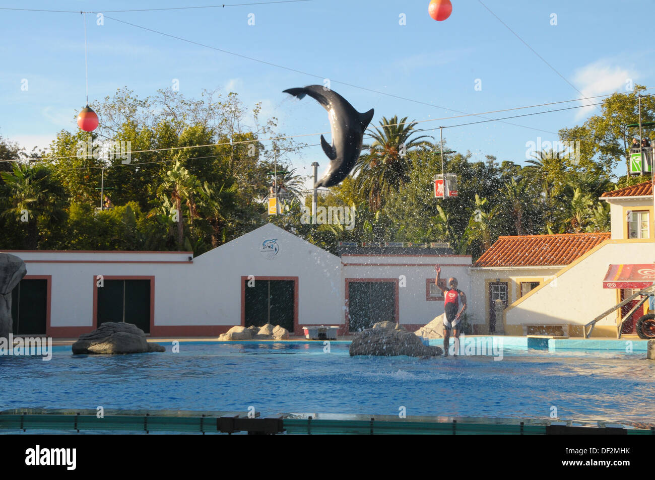 Lisbon zoo PORTUGAL Stock Photo - Alamy