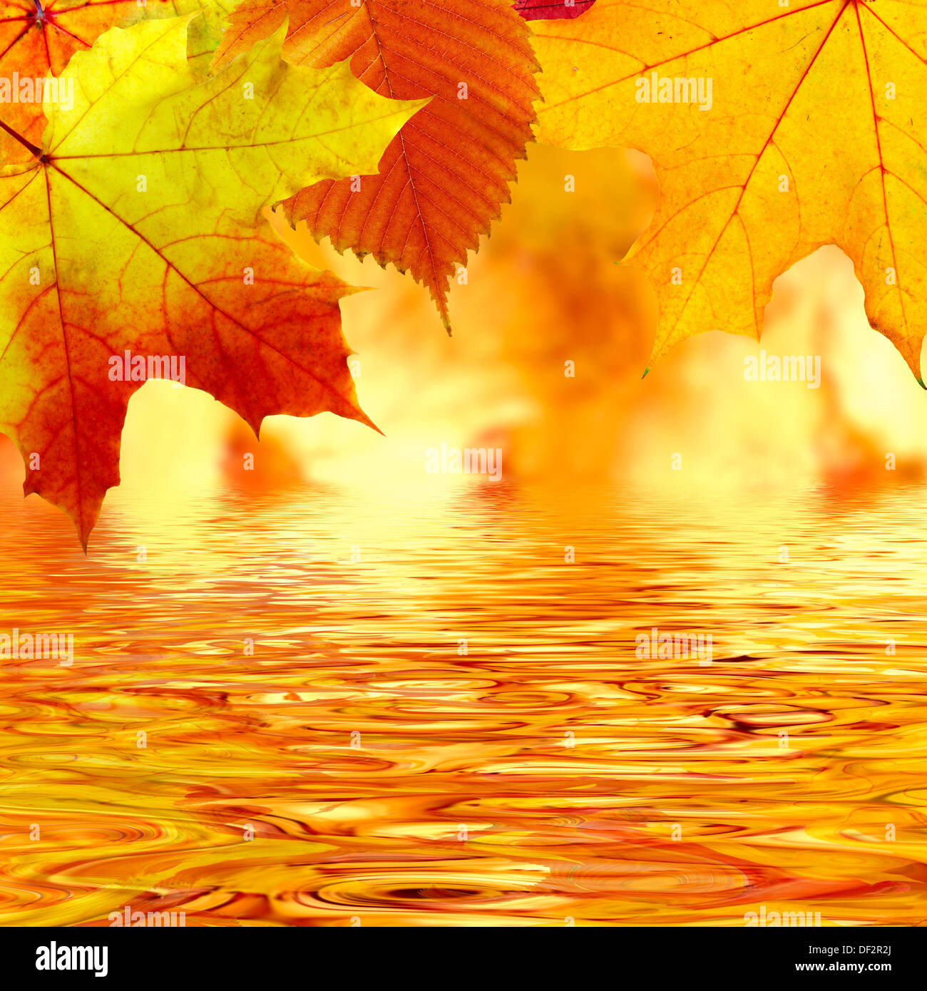 The autumn leaves over water Stock Photo - Alamy