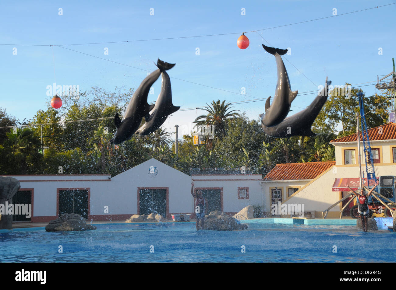 Lisbon zoo PORTUGAL Stock Photo - Alamy