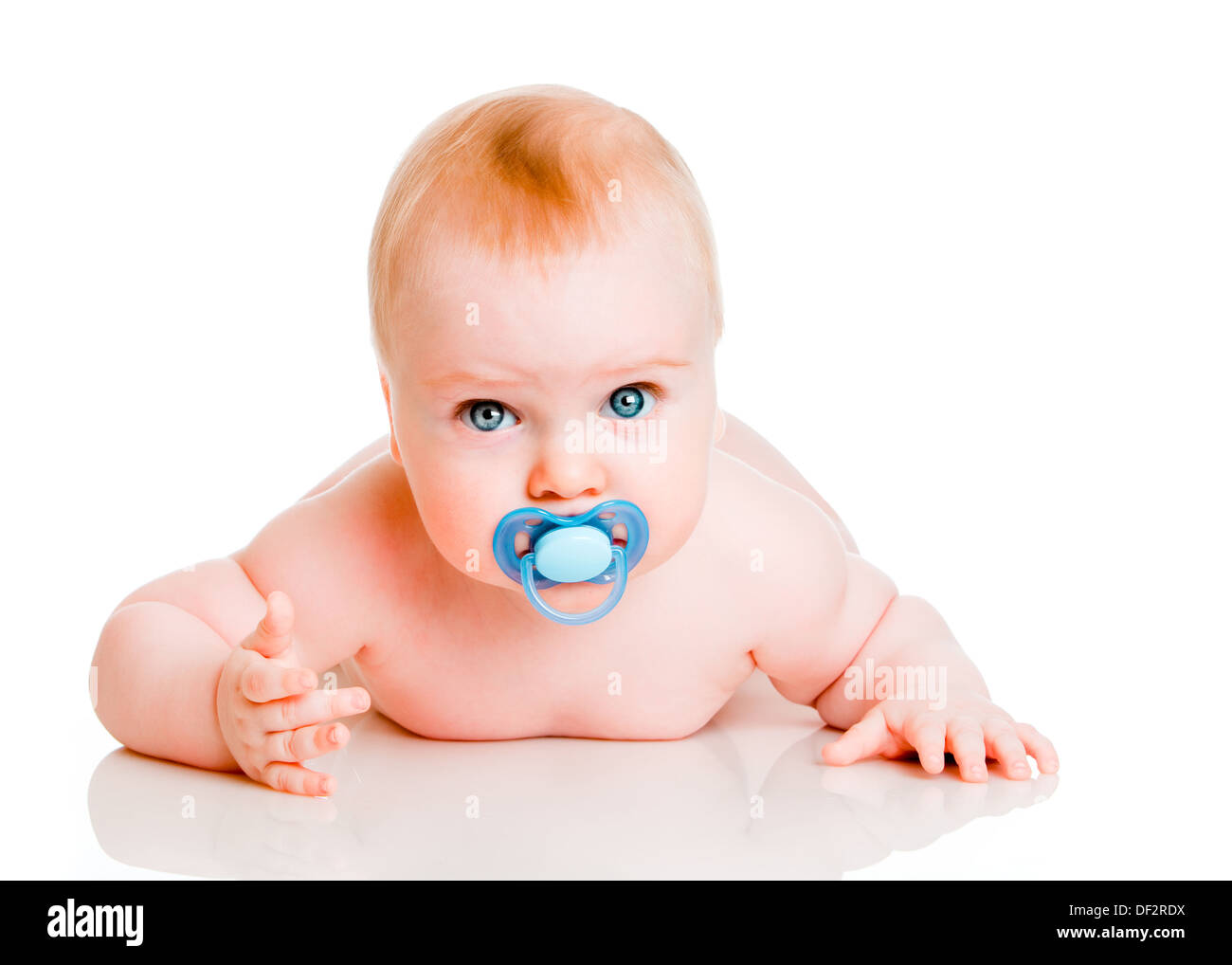 six-month-old baby on a white background Stock Photo - Alamy