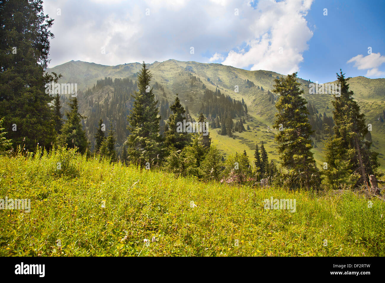 nature landscape mountains Central Asia Stock Photo - Alamy