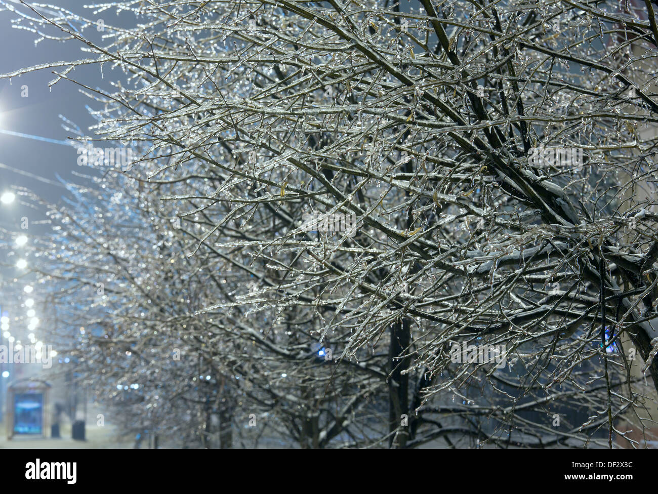 Trees in rime ice hi-res stock photography and images - Alamy