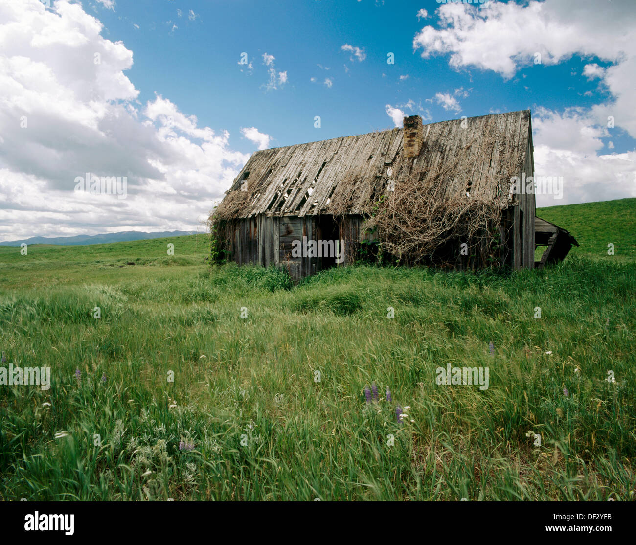 Idaho homestead hi-res stock photography and images - Alamy