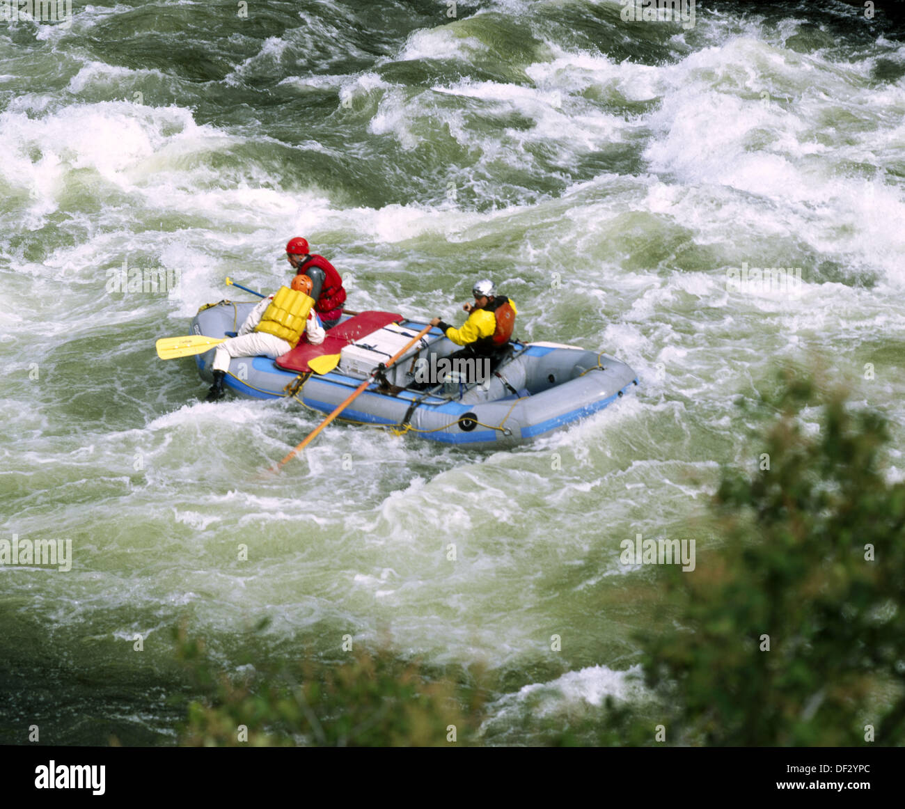 Whitewater rafting lochsa river idaho hi-res stock photography and ...