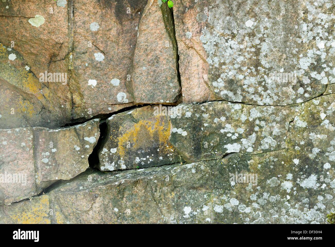 Lichen colonies hi-res stock photography and images - Alamy