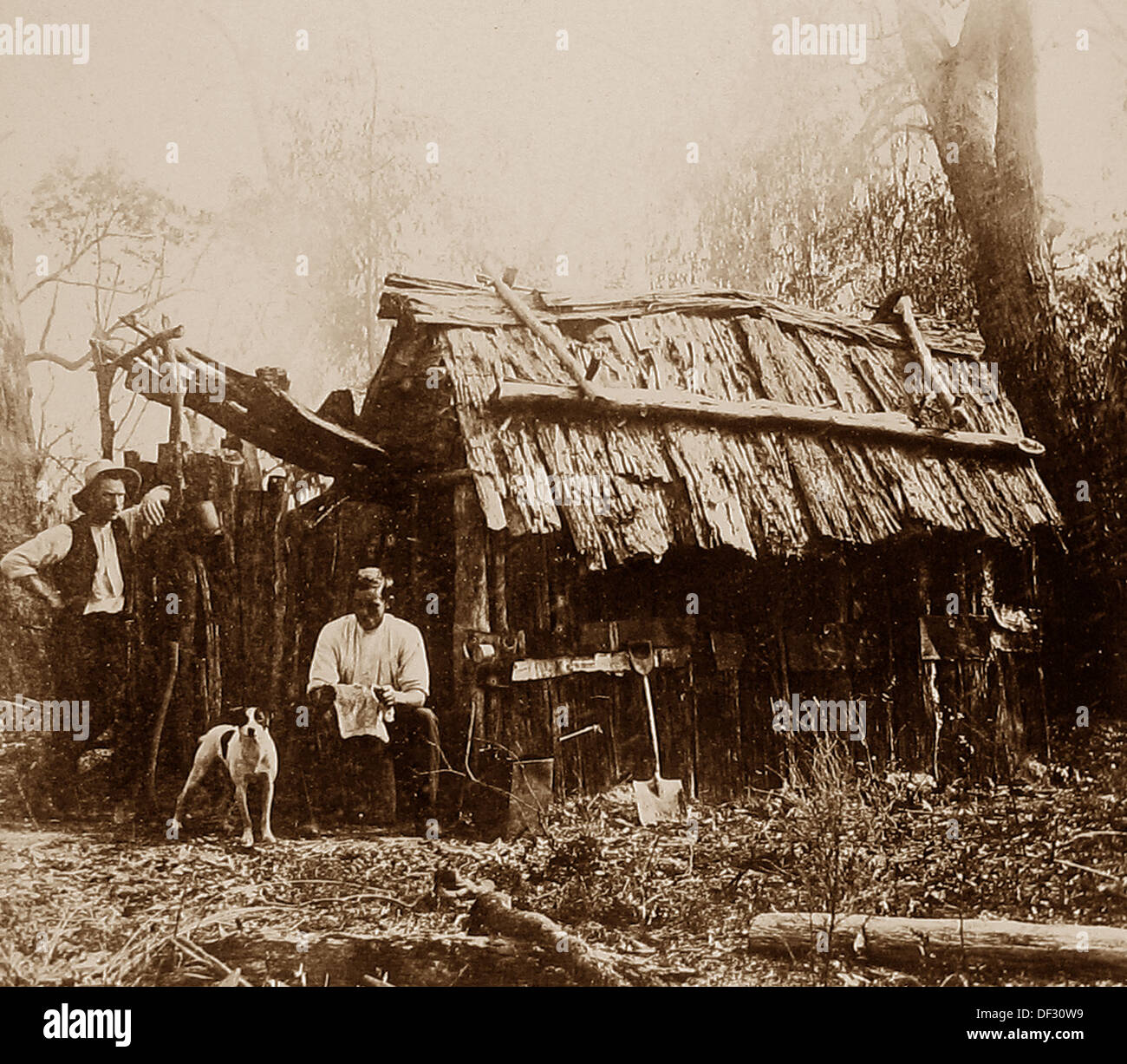 Gippsland Settlers Hut Victoria Australia Victorian period Stock Photo ...