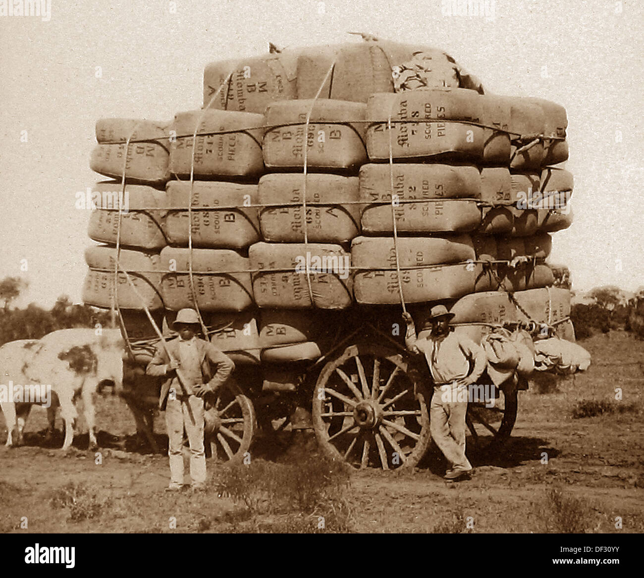 Australia - a wool wagon - Victorian period Stock Photo - Alamy