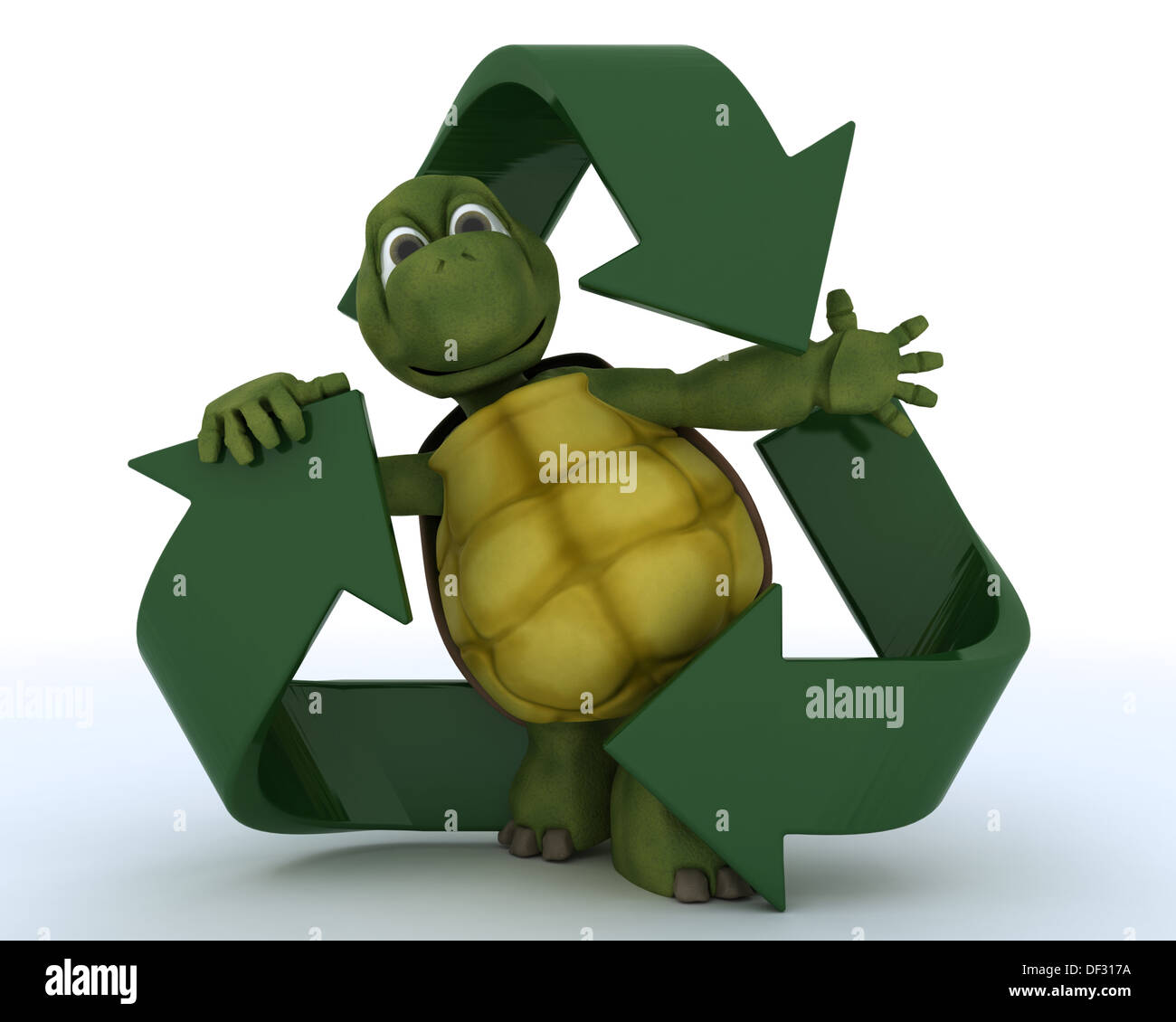 Tortoise conservation hi-res stock photography and images - Alamy