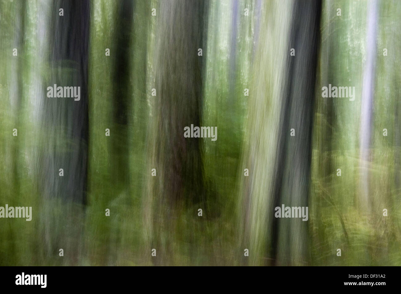 Old movement hi-res stock photography and images - Alamy