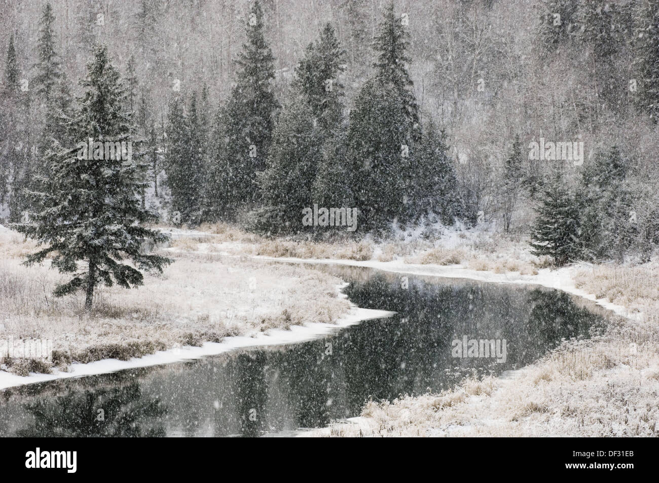 Lively Brook High Resolution Stock Photography and Images - Alamy