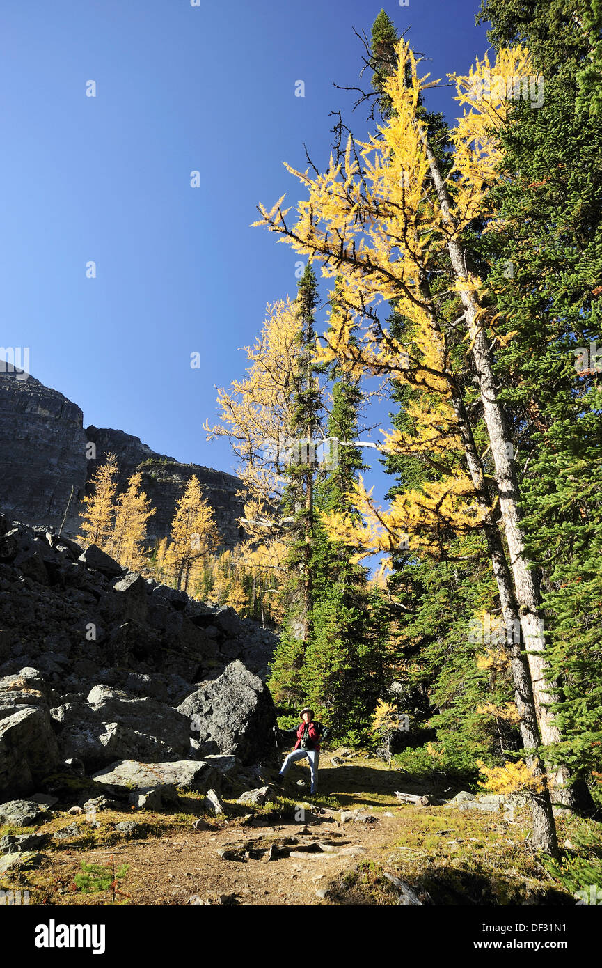 Hiker symbol hi-res stock photography and images - Alamy