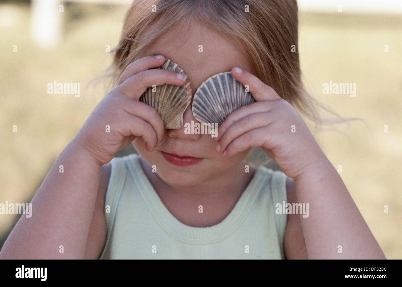 Seashell collector hi-res stock photography and images - Alamy
