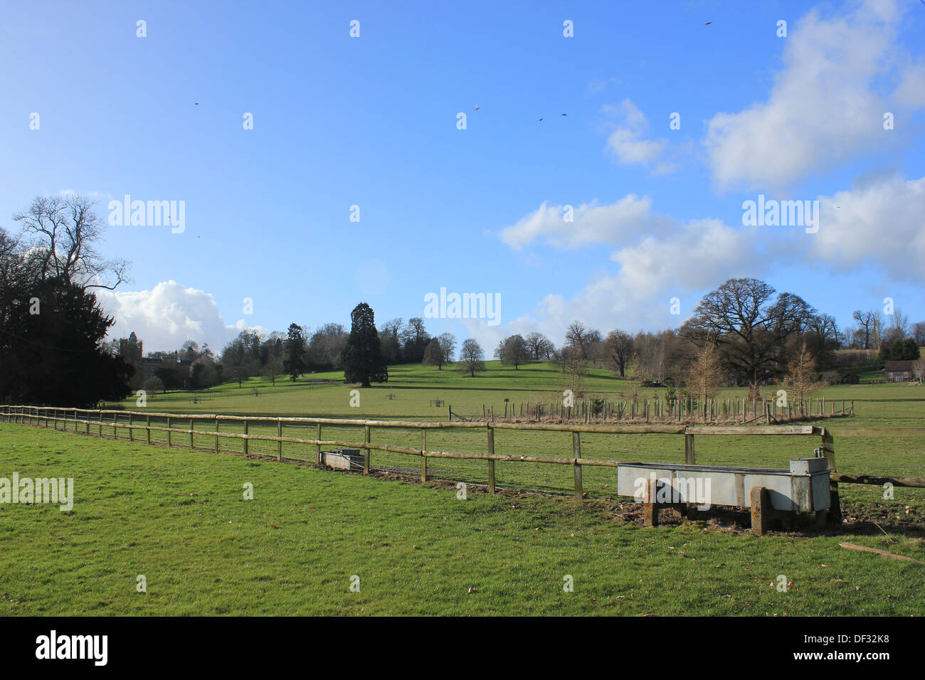 Field trough landscape Stock Photo - Alamy