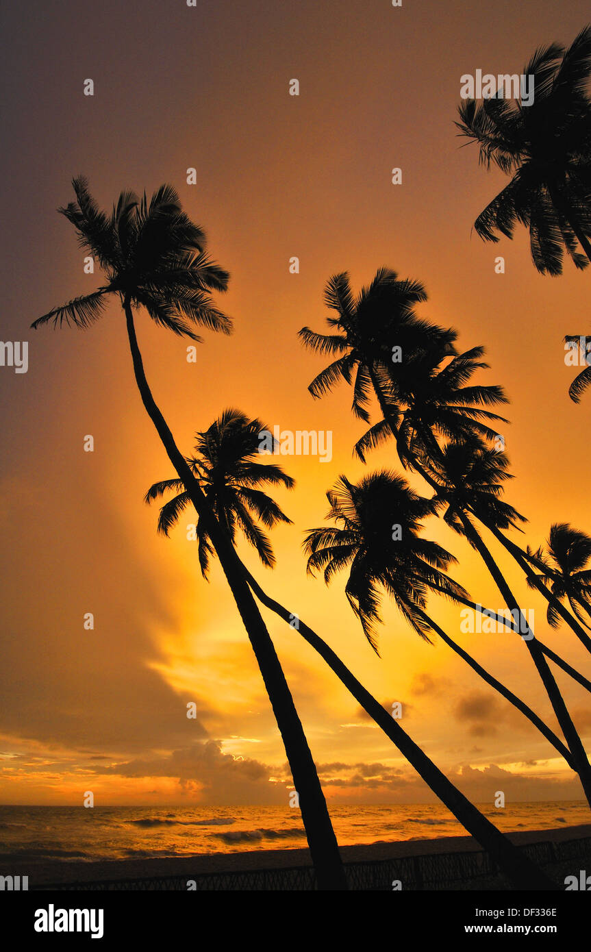 Wadduwa Beach High Resolution Stock Photography and Images - Alamy